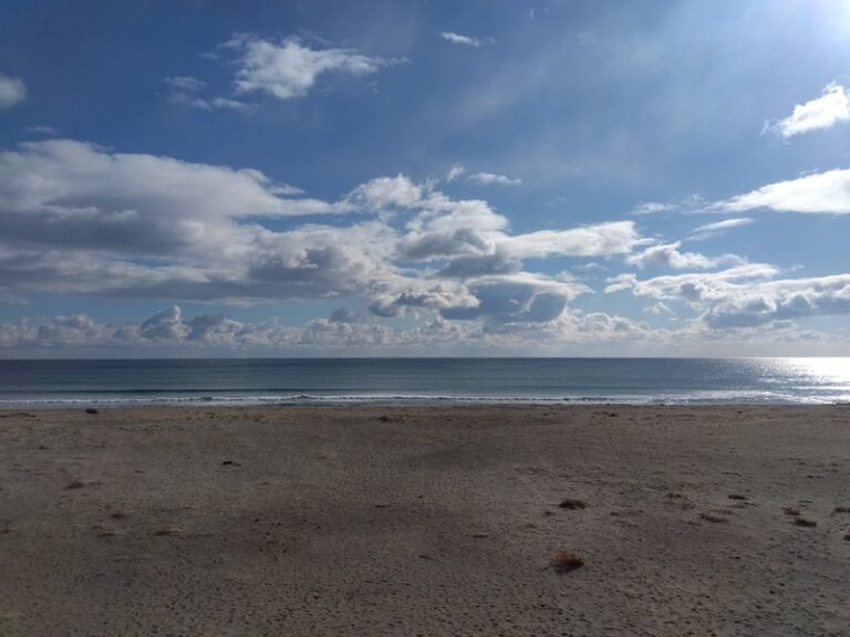 2024/02/11仙南サーフクリーン大作戦への参加 | hito114ドットコム