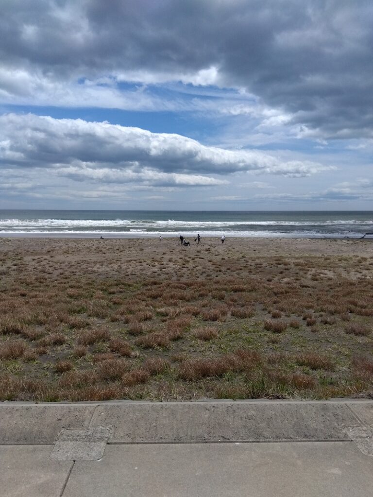 仙南サーフクリーン大作戦への参加 | hito114ドットコム